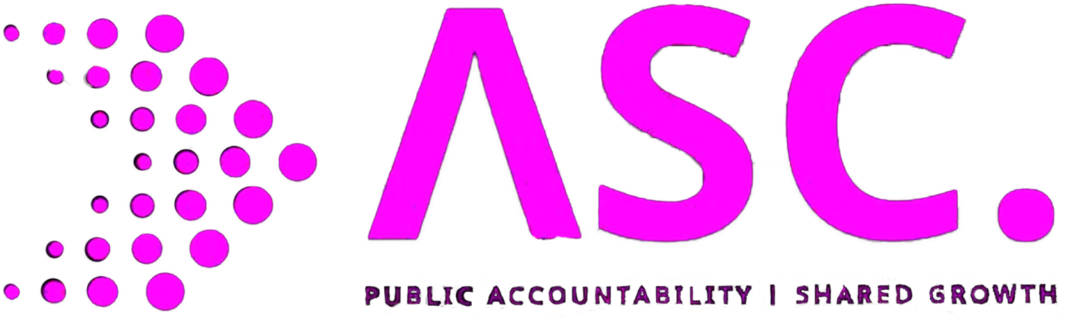 Audit Service Corporation – Audit Service Corporation